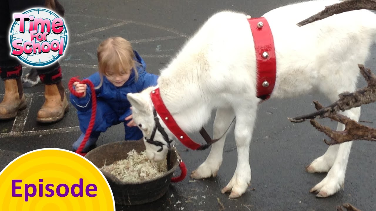 Reindeer Visit | Time for School Full Episode - YouTube