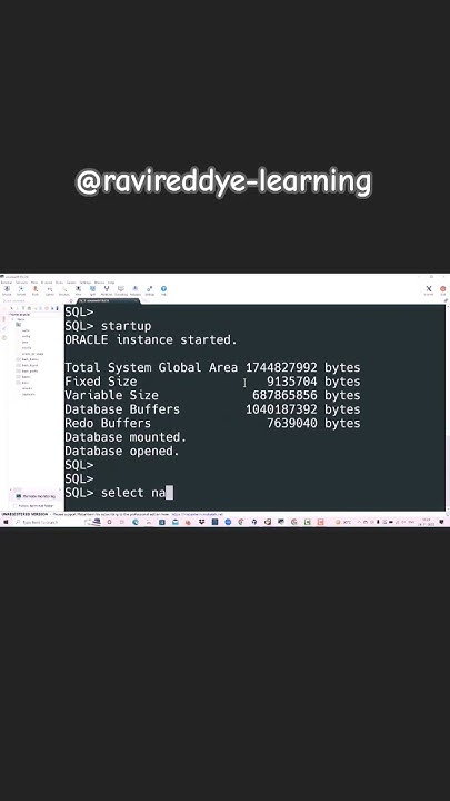 How To Start An Oracle Database Shorts 2023 Oracle Oracledba Sqlplus Youtube