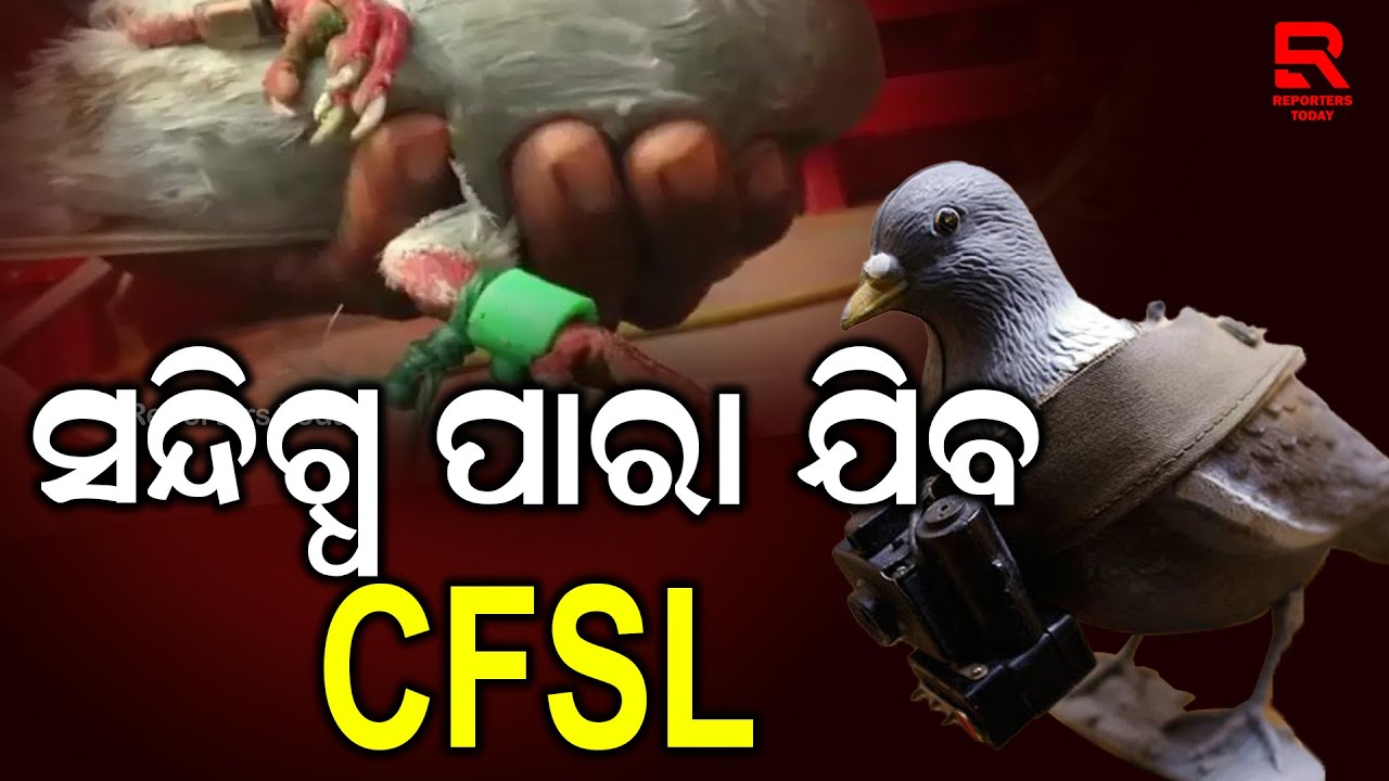 ପାରା ଯିବ CFSL - YouTube