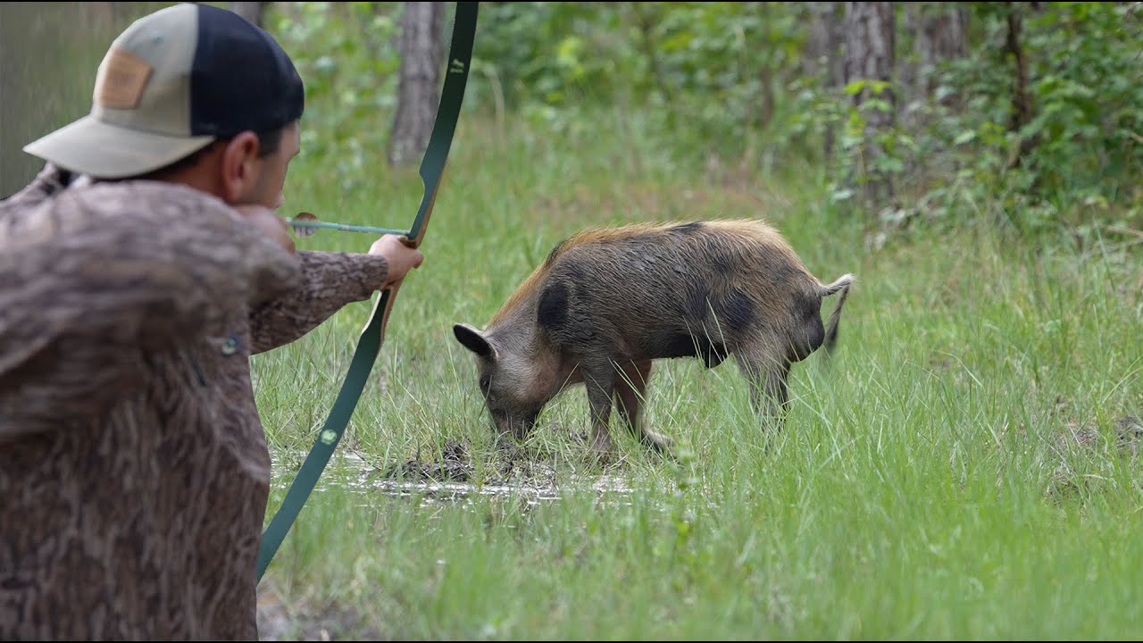 I thought this would never happen! {Catch Clean Cook} Hog Hunting in ...