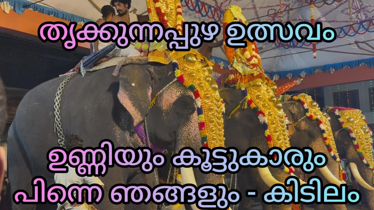 Thrikkunnappuzha Temple Festival - YouTube