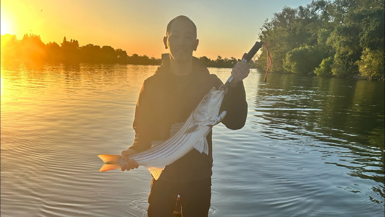 Striper Fishing Sac River - YouTube