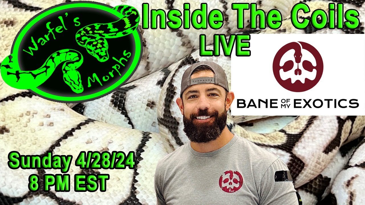 S3-Ep.17: Inside The Coils W/ Brian Kocher of Bane of My Exotics - YouTube
