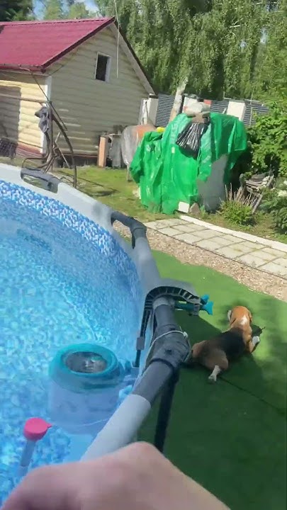Печь - котел для бассейна 🏊‍♂️ #бассейн #котел #печь - YouTube