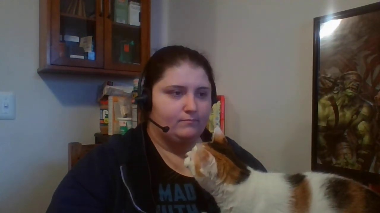 Teleworking with Cats - YouTube