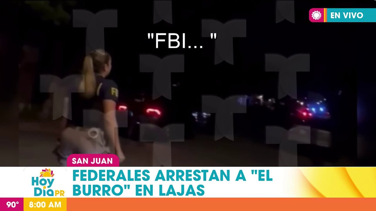 EXCLUSIVA: Imágenes del arresto de "El Burro" - YouTube