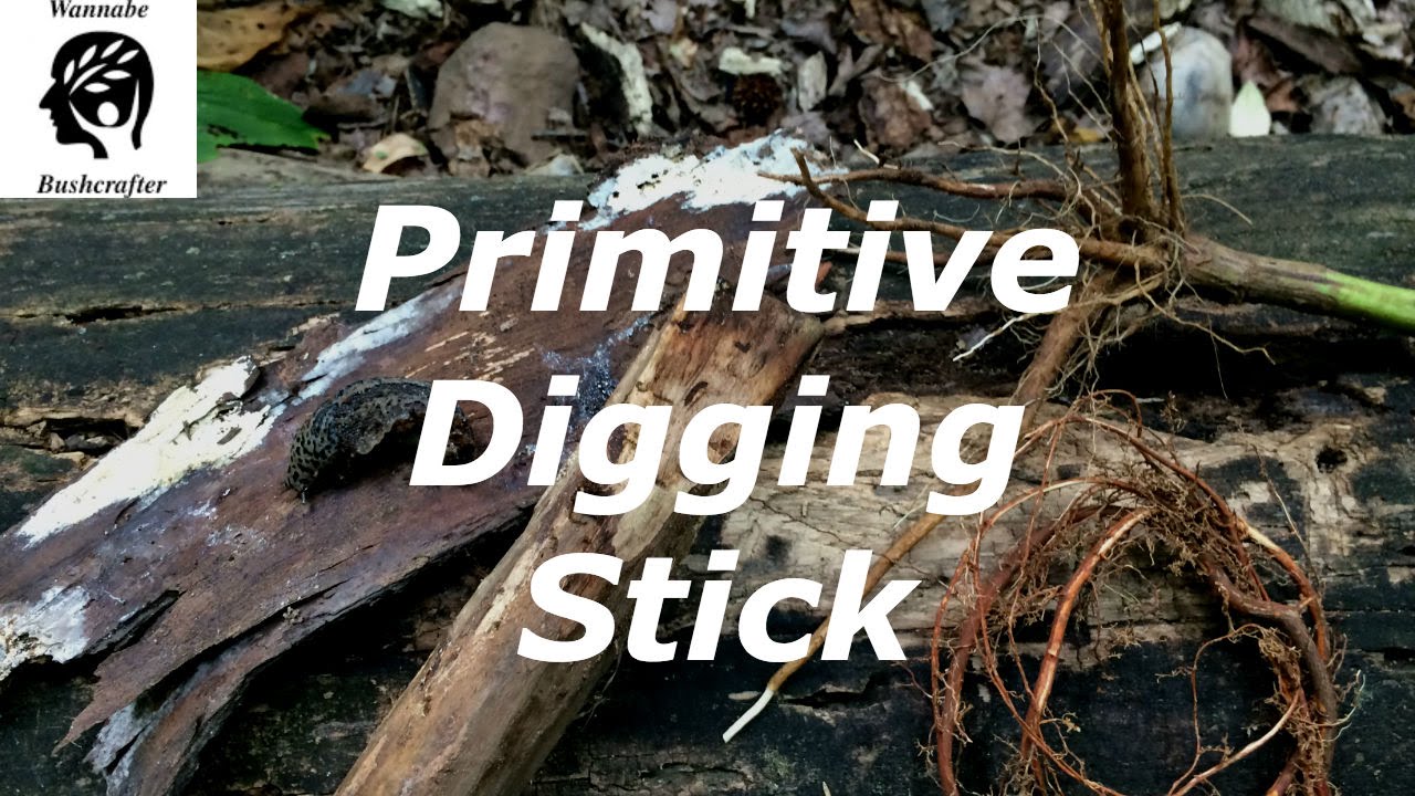 Primitive Digging Stick : The Stone-Age Wonder tool! - YouTube