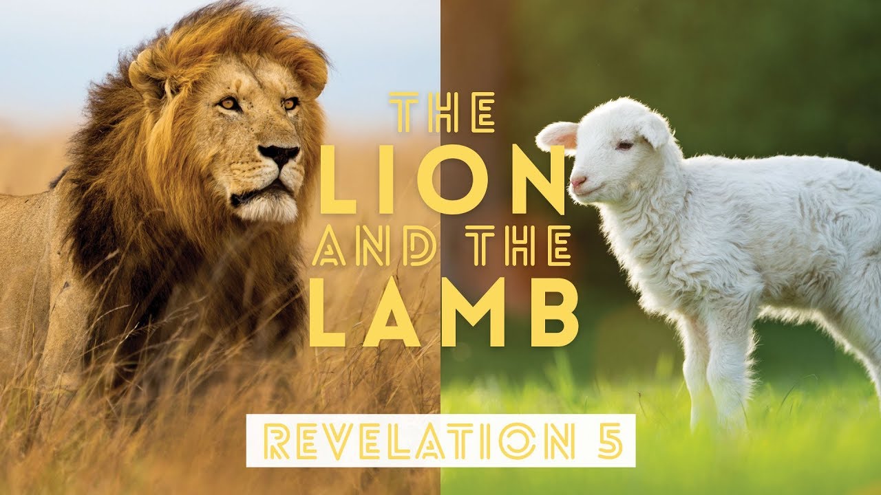 THE LION AND THE LAMB - YouTube