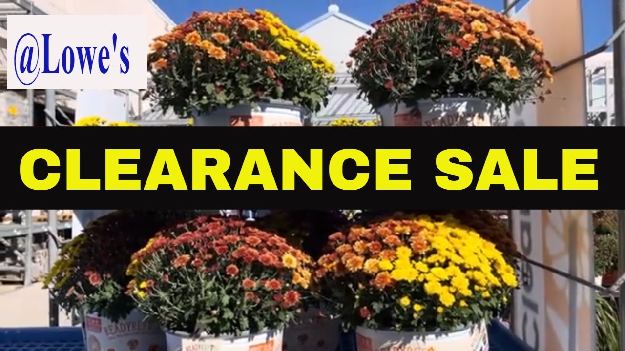 Plants and Flowers on clearance Sale at Lowe’s - YouTube