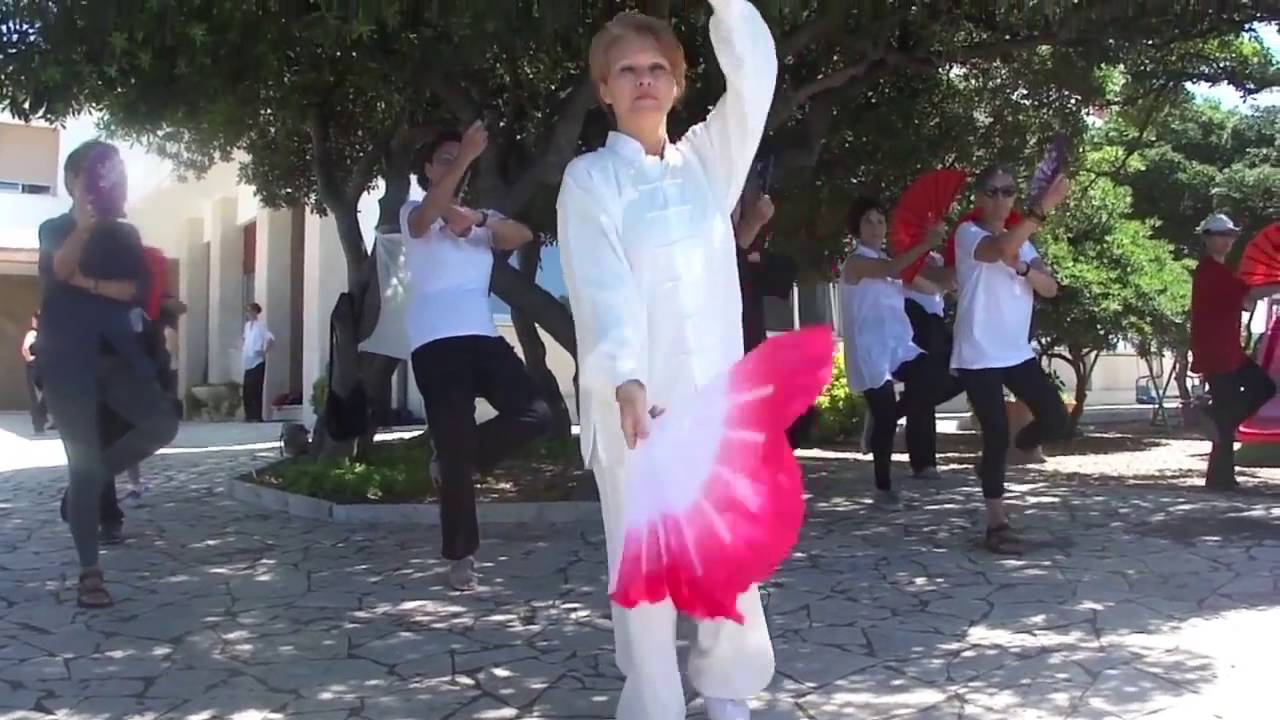 Tai Chi a Santa Marinella 2015 II Il Ventaglio - YouTube