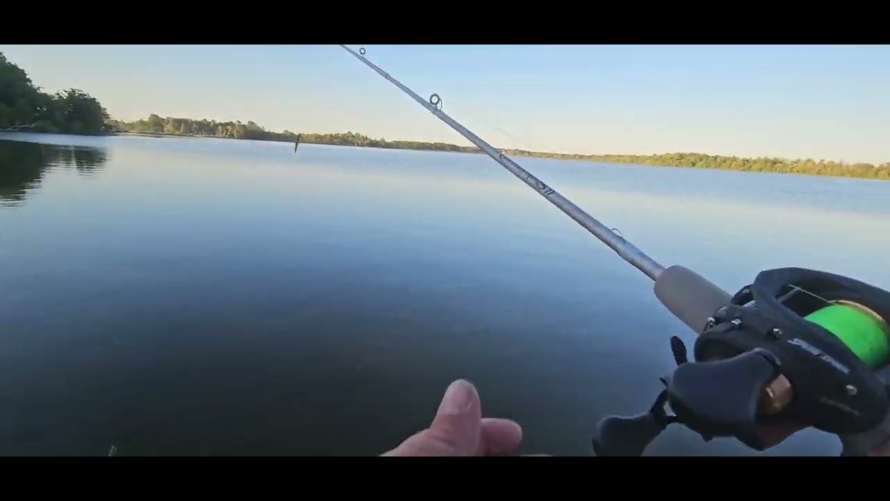 IM LEARNING TO LOVE BAIT CAST RODS - YouTube