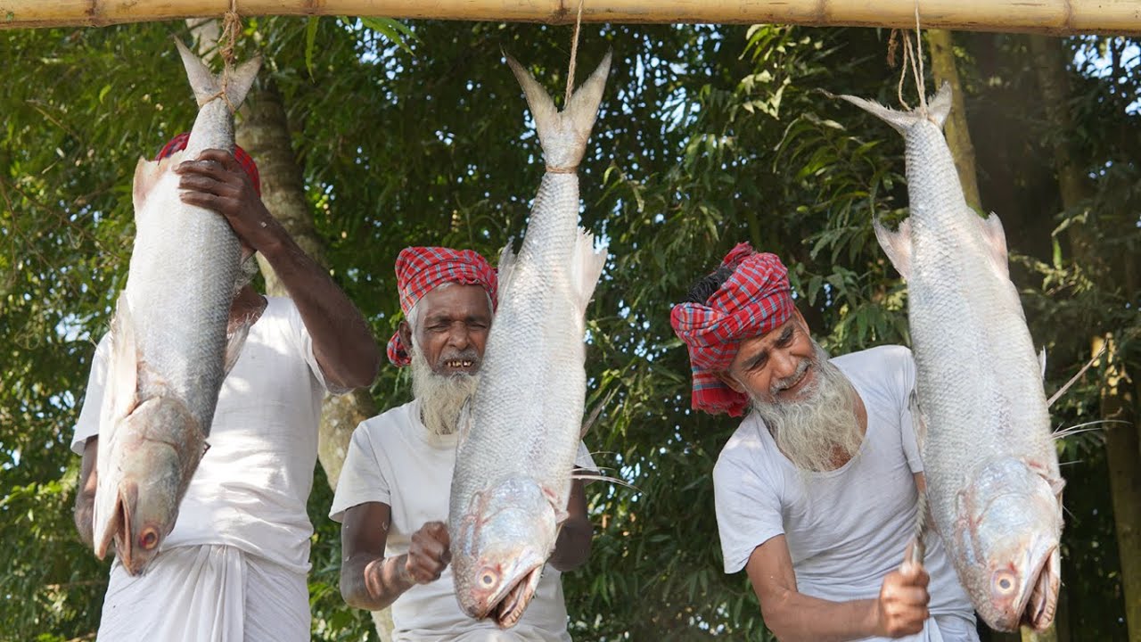 Indian Salmon Fish Curry - Salman Fish Recipe Of Grandpa - Sea Fish For ...