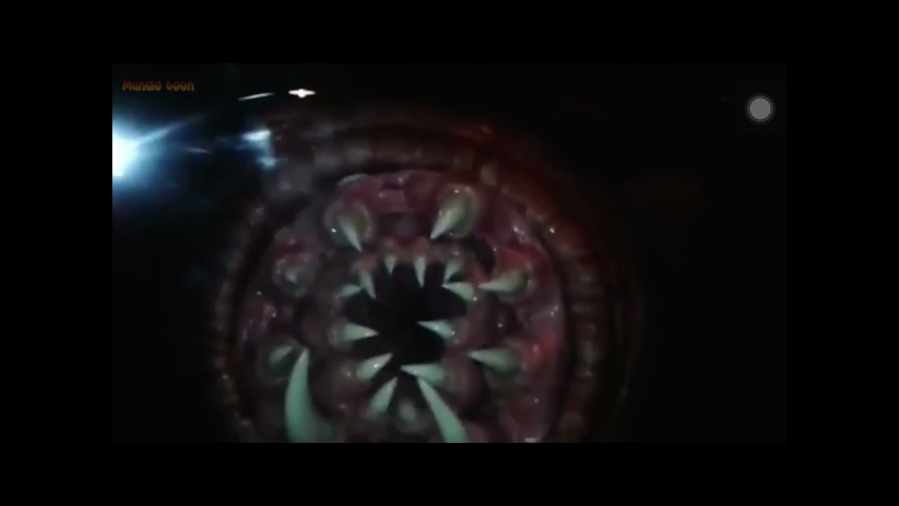 GUSANO GIGANTE CAPTADO EN CAMARA - YouTube