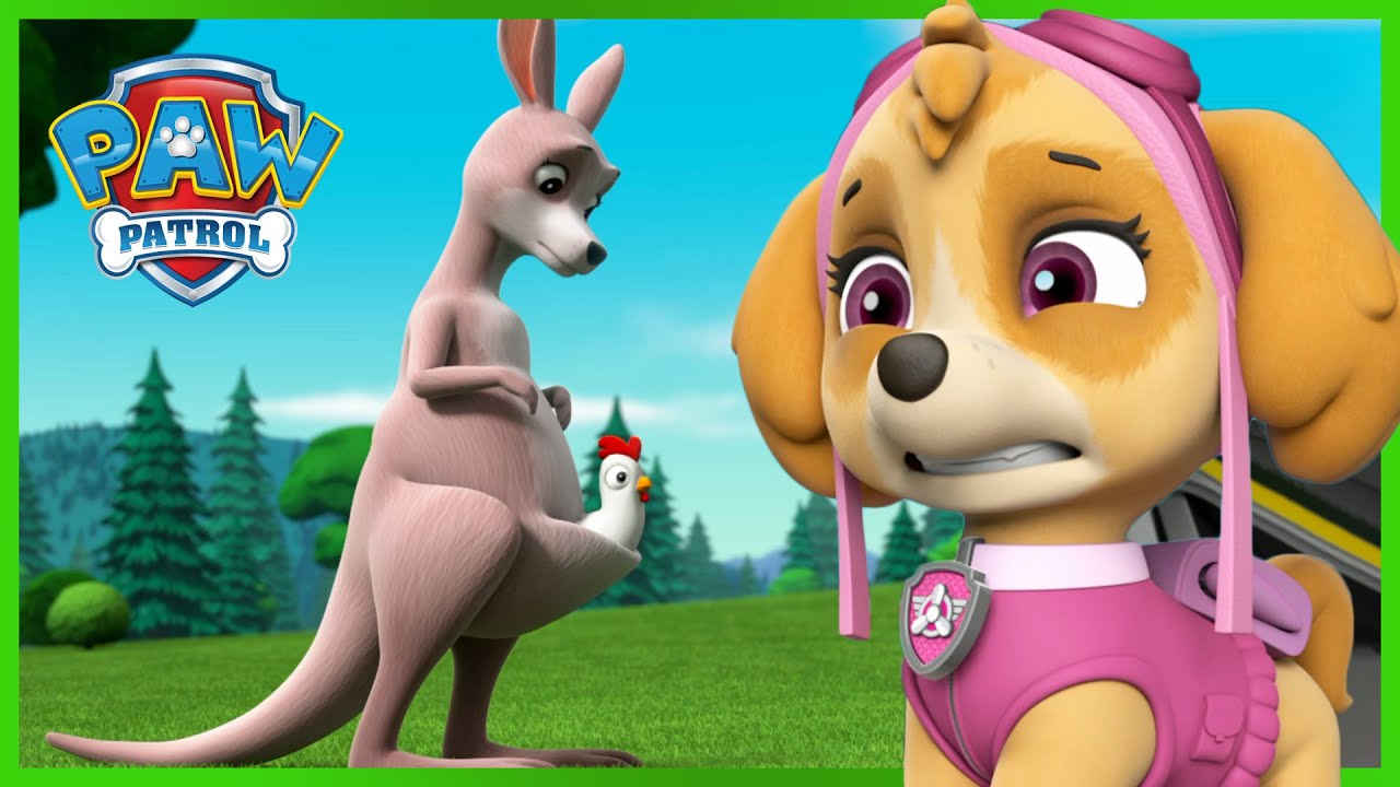 Pups Save A Missing Kangaroo PAW Patrol Episode Cartoons For Kids pups-save-a-missing-kangaroo-paw-patrol-episode-cartoons-for-kids