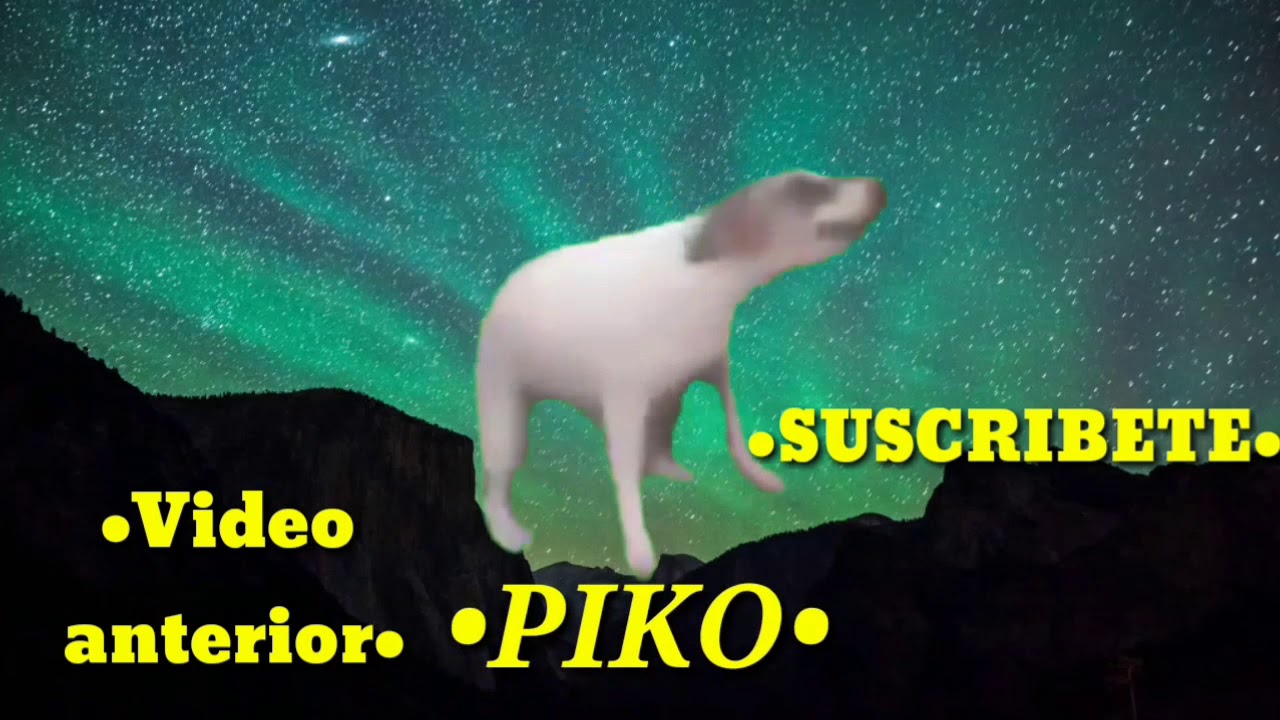 Que Lindo Perrito-Meme XD - YouTube