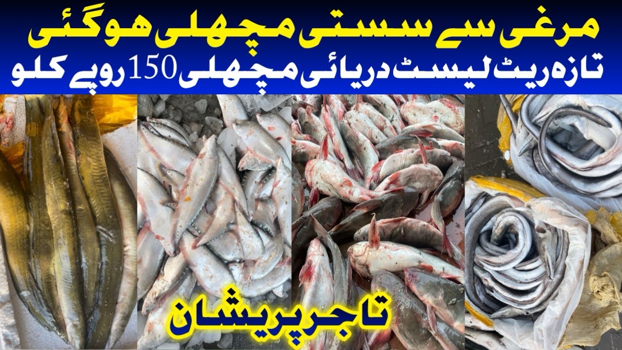 Fish Market Lahore , Machli Mandi Lahore , Update fish market , Taza ...