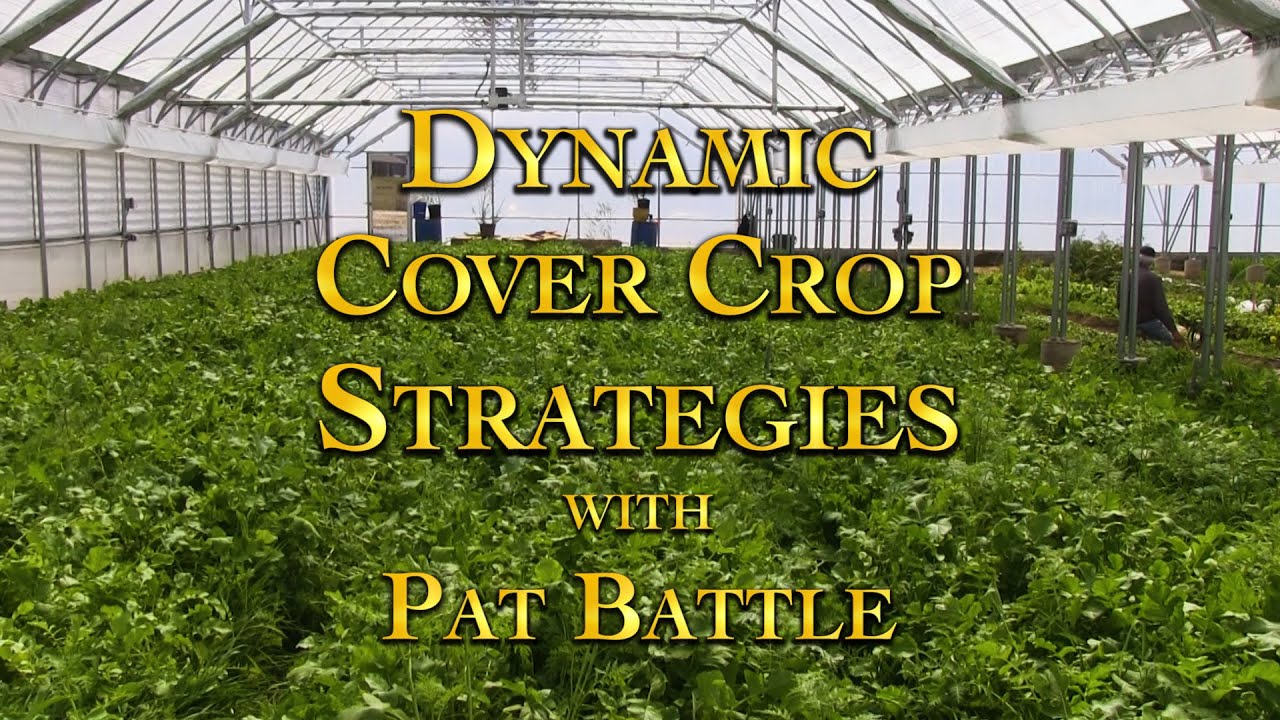 Dynamic Cover Crop Strategies - YouTube