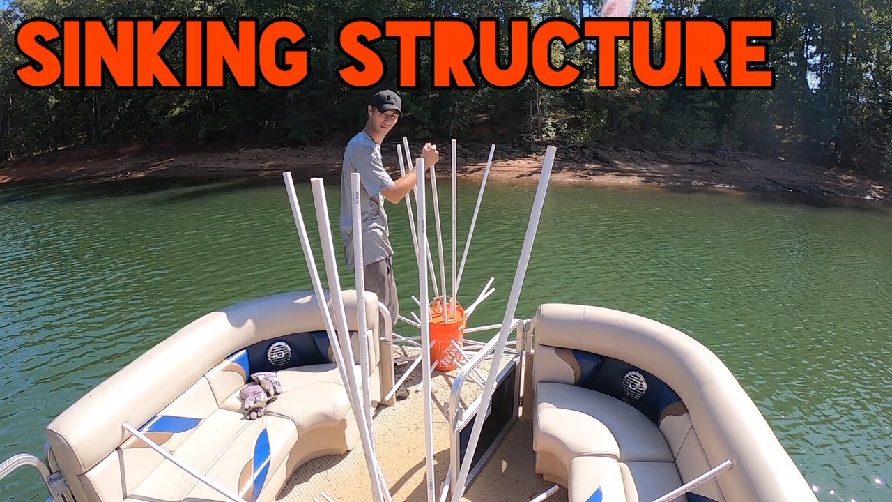 Sinking Underwater Fish Structure - YouTube