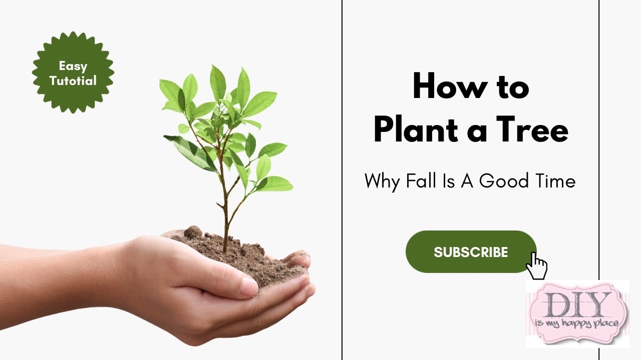 The ULTIMATE Guide to Fall Tree Planting - YouTube