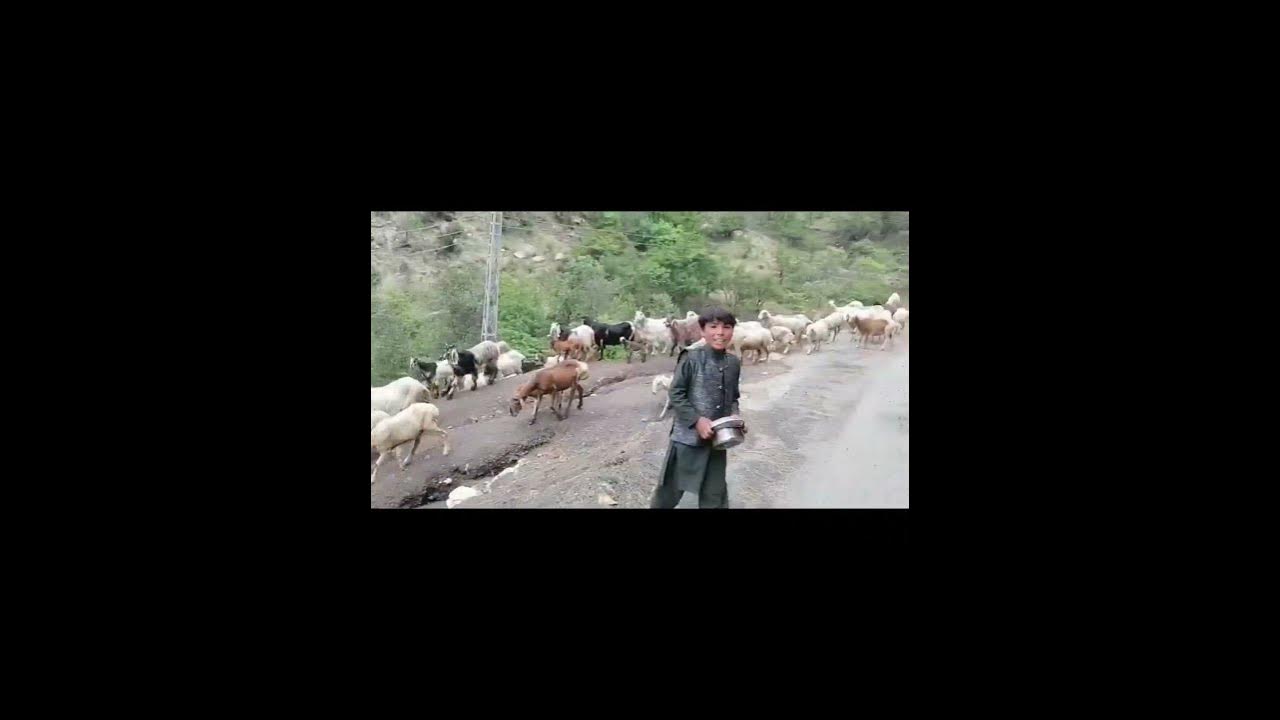 وادي سوات باكستان Youtube
