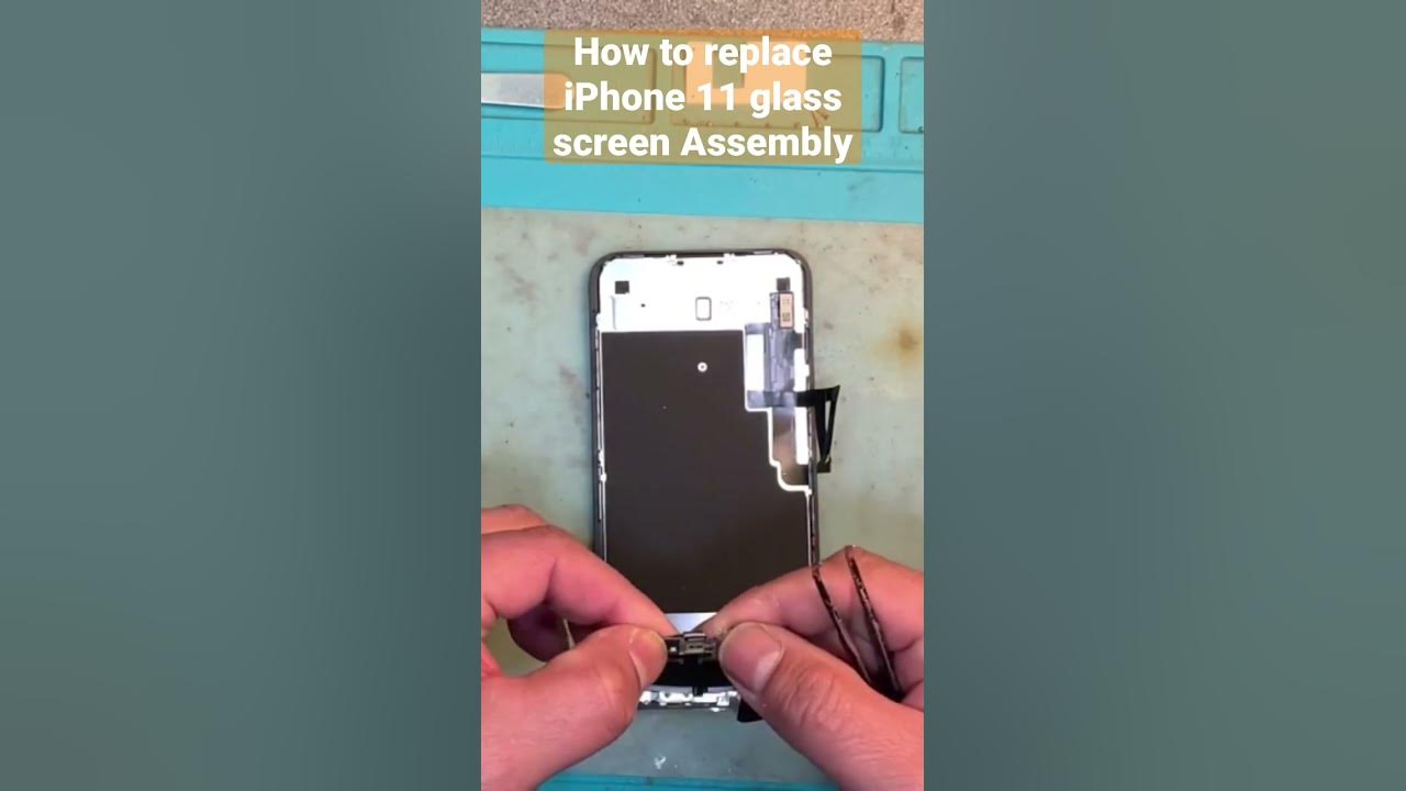 How to Replace iPhone 11 glass screen Assembly: Fix your cracked - YouTube