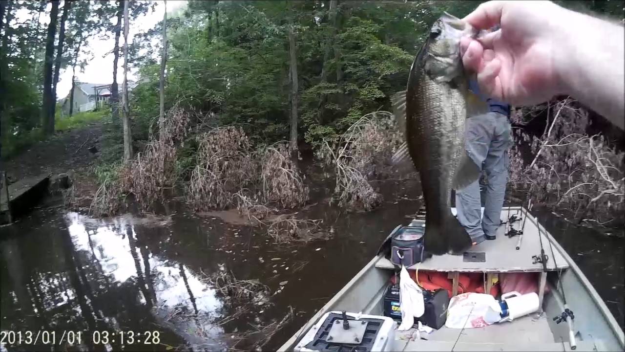 Fishing Comedy Half Hour - YouTube