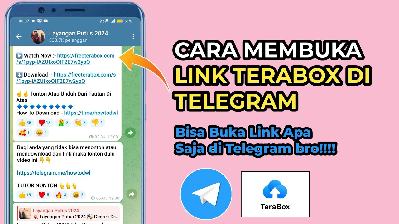 Cara Membuka Link Terabox di Telegram Bagi Pemula - YouTube