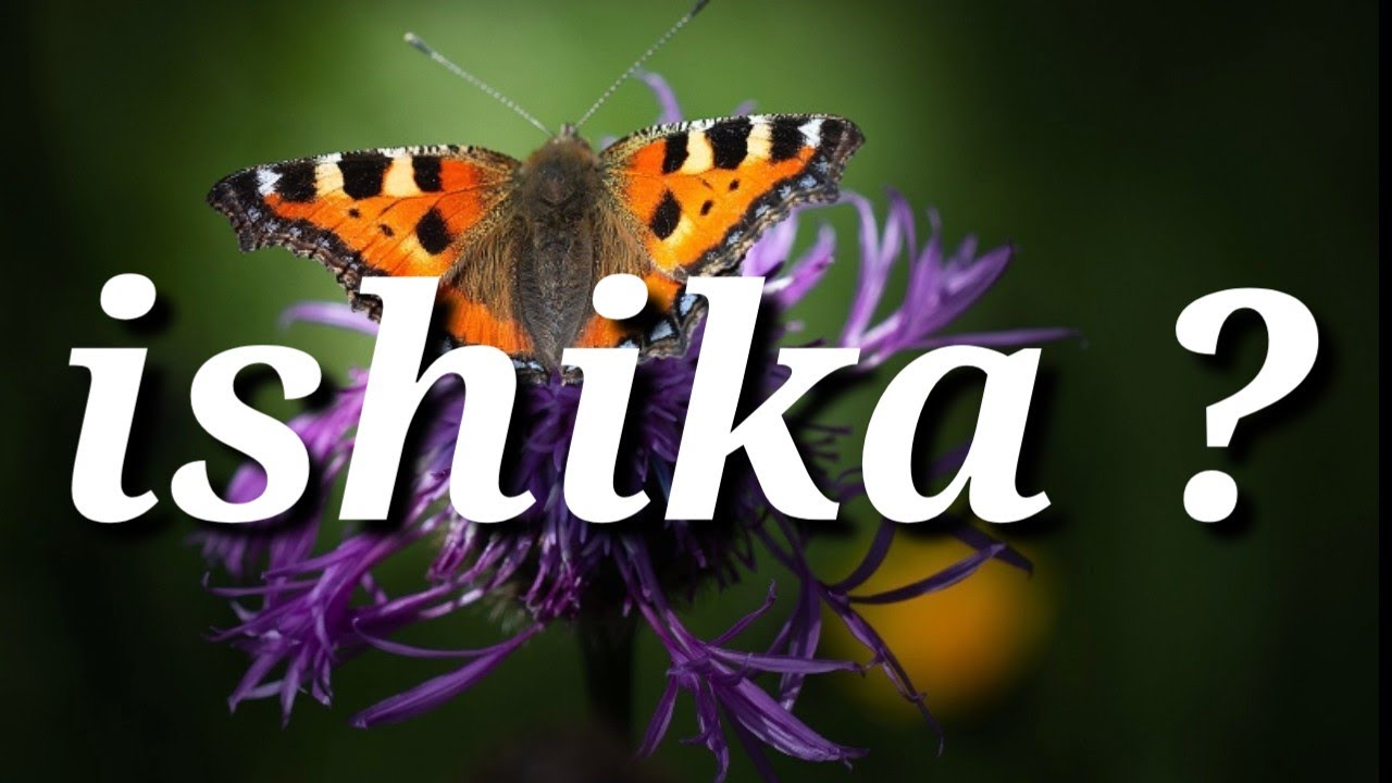 Ishika Name Status Ishika Name Meaning Ishika Name WhatsApp Status ishika-name-status-ishika-name-meaning-ishika-name-whatsapp-status