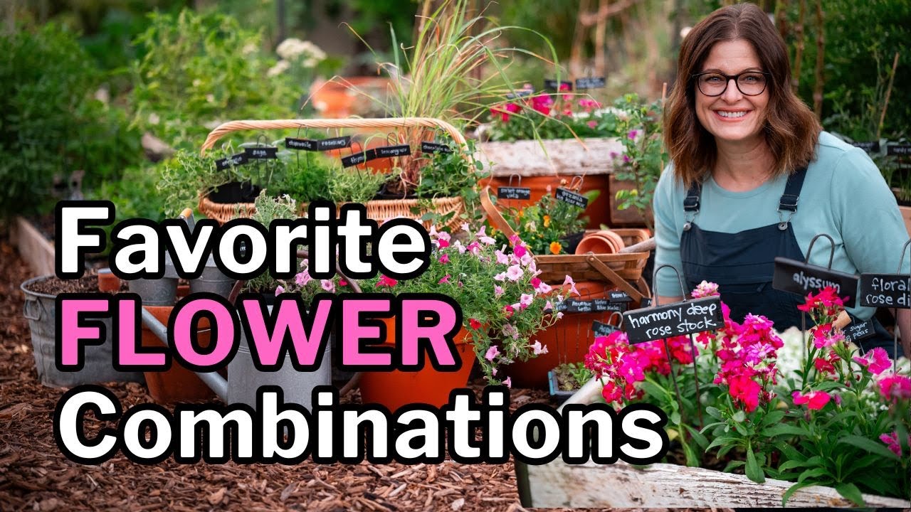 Easy Cool-Season Flowers: Best Combinations for Fall & Winter Gardens ...