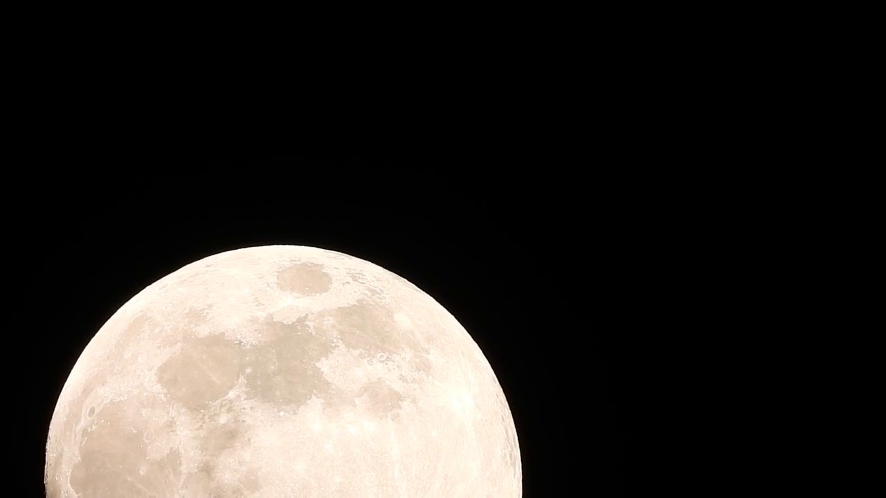 Lunatic 🐺 - YouTube