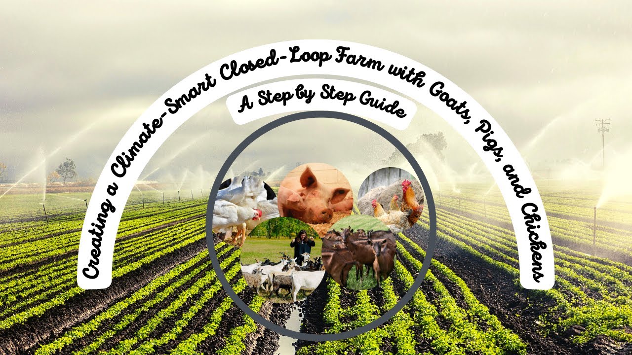 Creating a Climate Smart Closed Loop Farm Using Goats, Pigs, and ...
