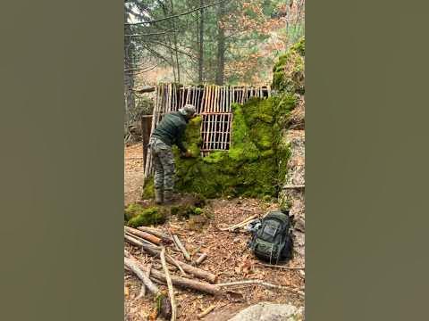 building a shelter in the woods in the wilderness / bushcraft skills # ...