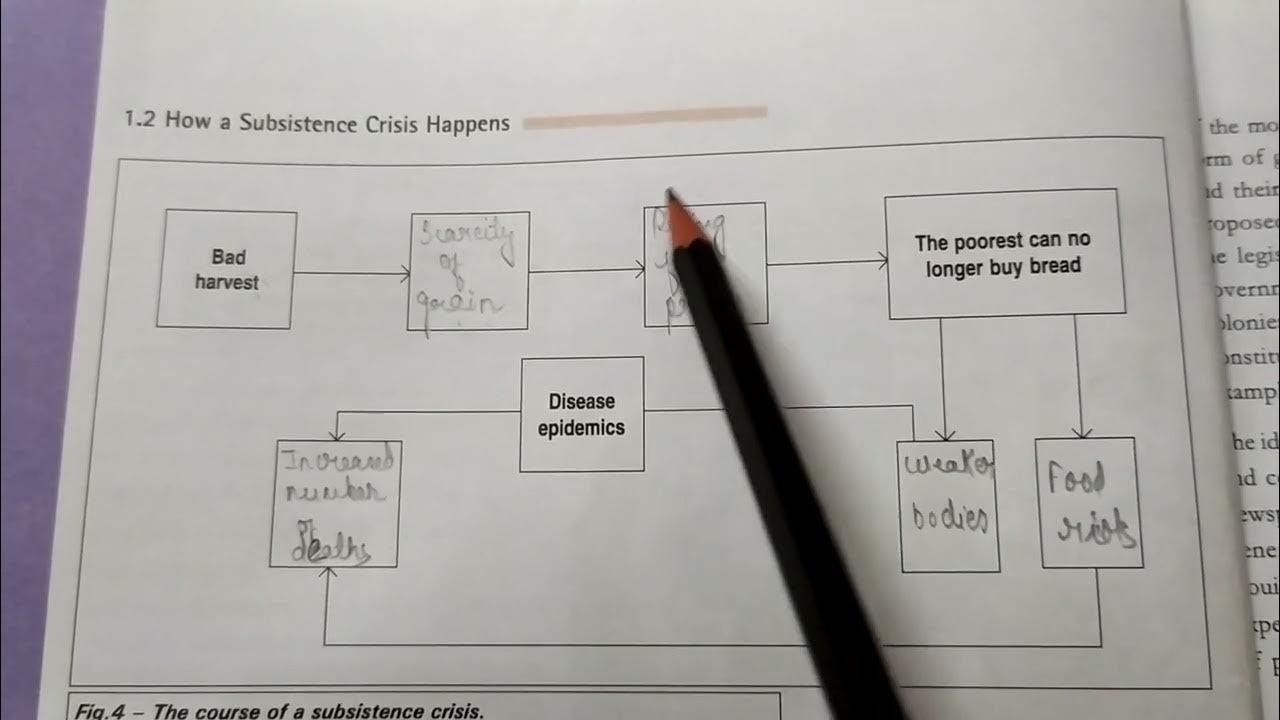 how-a-subsistence-crisis-happens-class-9-cbse-history-ncert-youtube