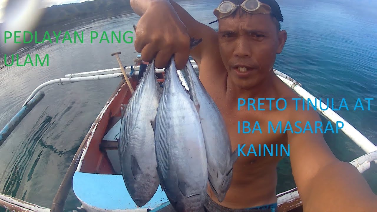 PEDLAYAN PUSIT AT IBA PANG MGA ISDA - YouTube