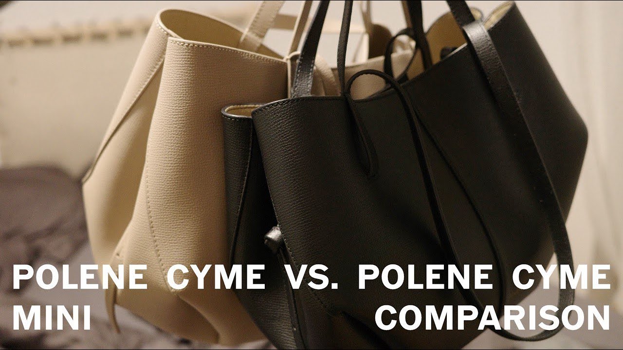 POLENE CYME VS. POLENE CYME MINI COMPARISON (Honest Review after 6 ...