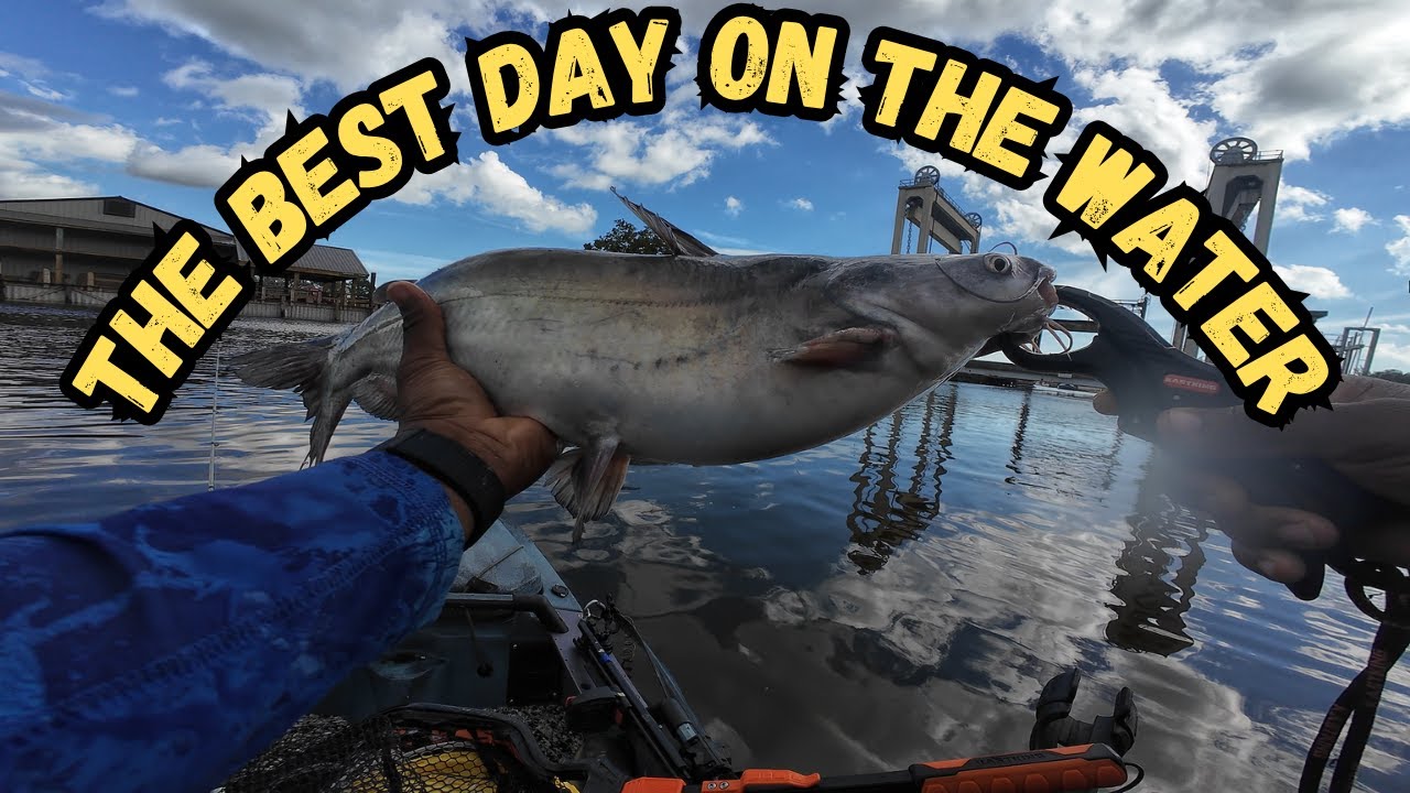 I caught some monster Catfish,No Electronics #catfishing #mosterfish # ...