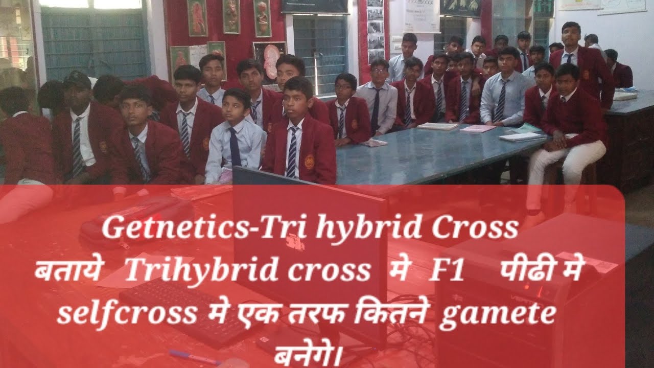Genetics- InTrihybrid Cross.Gametes formed each side in self cross of ...