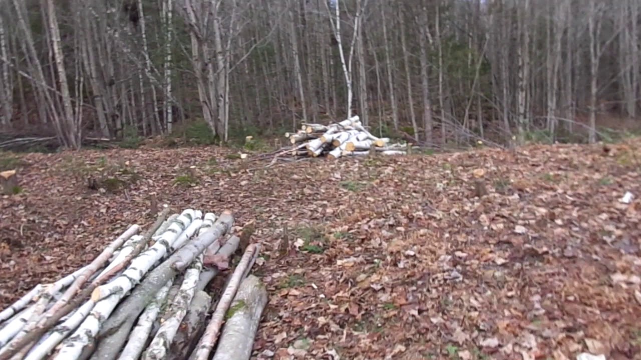 défrichage terre - YouTube