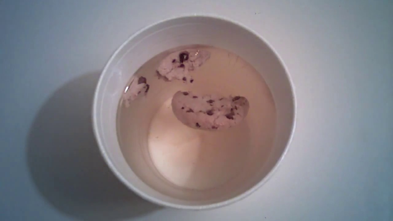 "Chips Ahoy" Cookie Timelapse in Water (4 Days) - YouTube