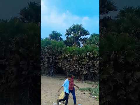 gufa narial ke tree mai 🐬 - YouTube