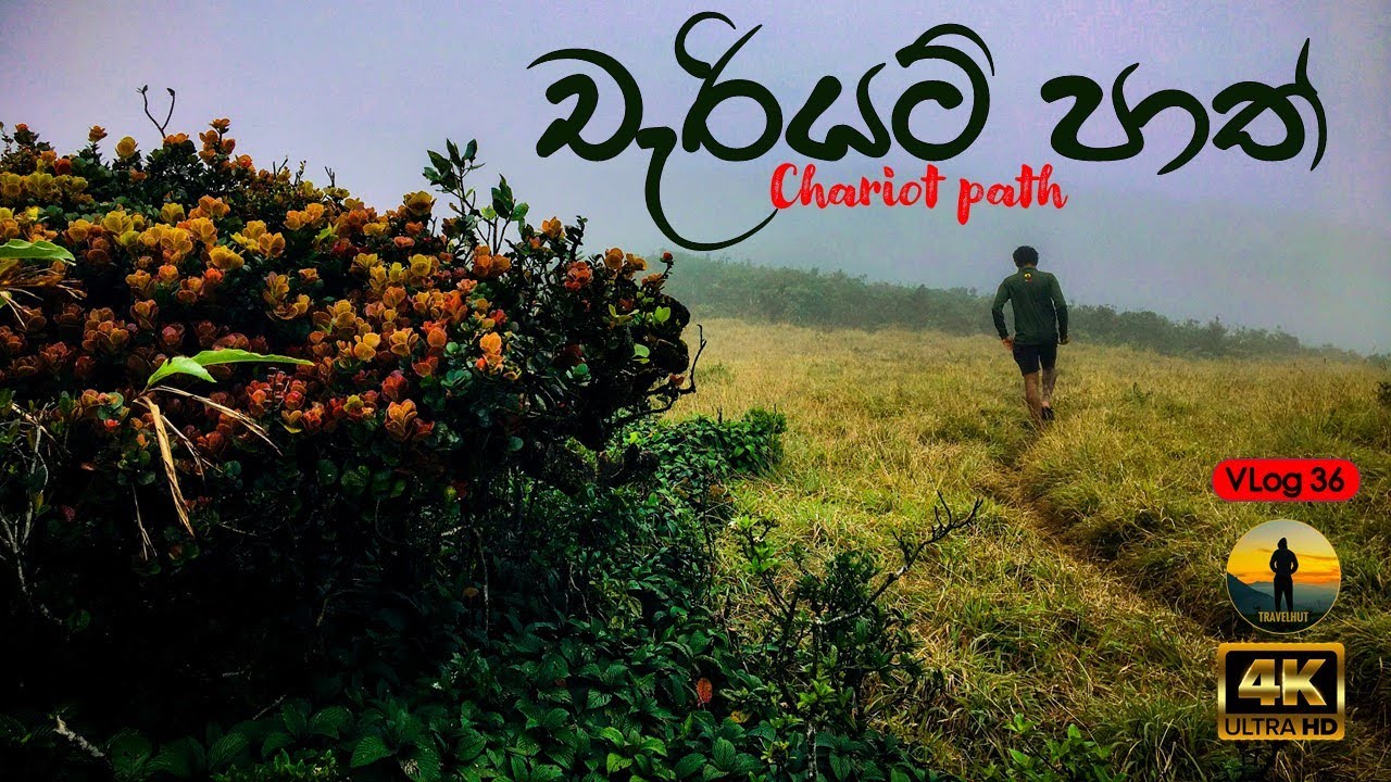 Chariot Path (චැරියට් පාත් ) night camping by Travelhut | Sril Lanka ...
