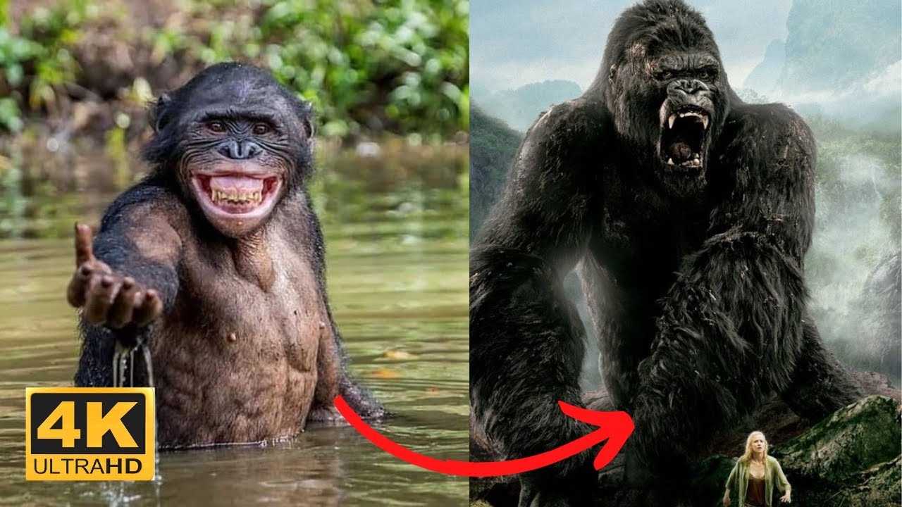 I'm a Big Kid Now - Gorilla Grow Up And Cute Baby Animals - Animals ...