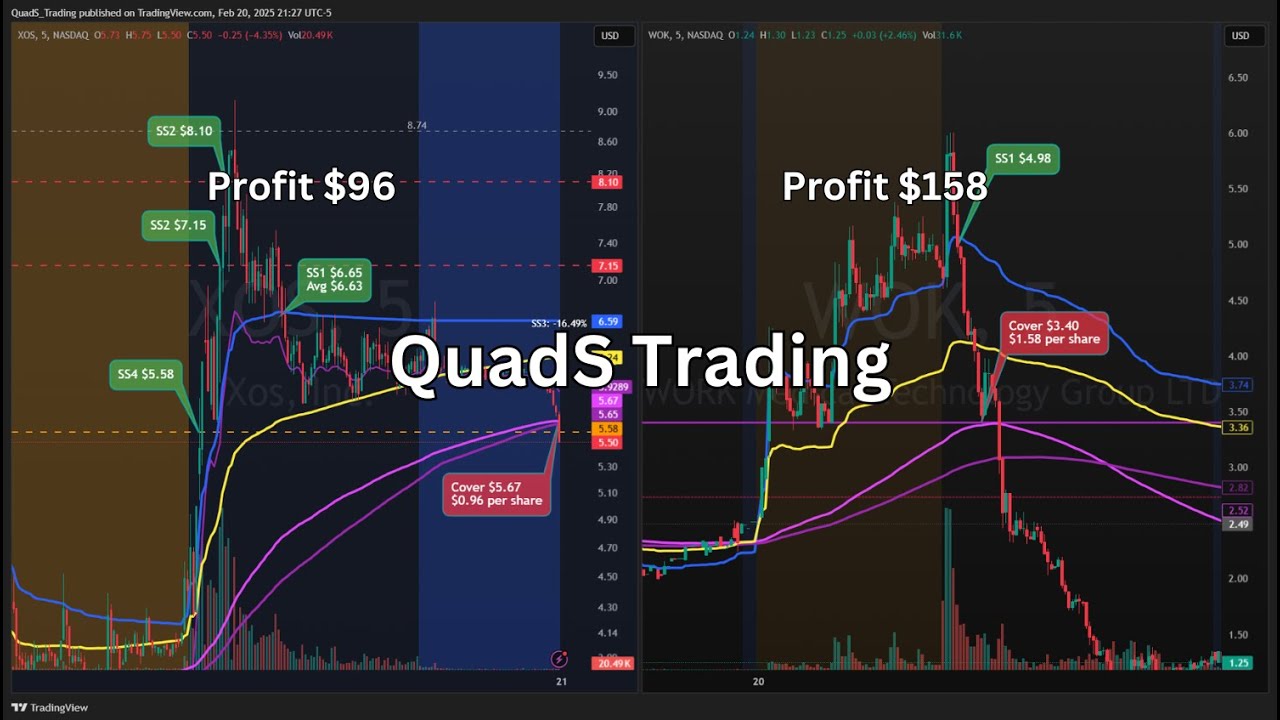 Daily Trade Log | 02-20-25| Learn to Short Sell Penny Stocks | QuadS ...