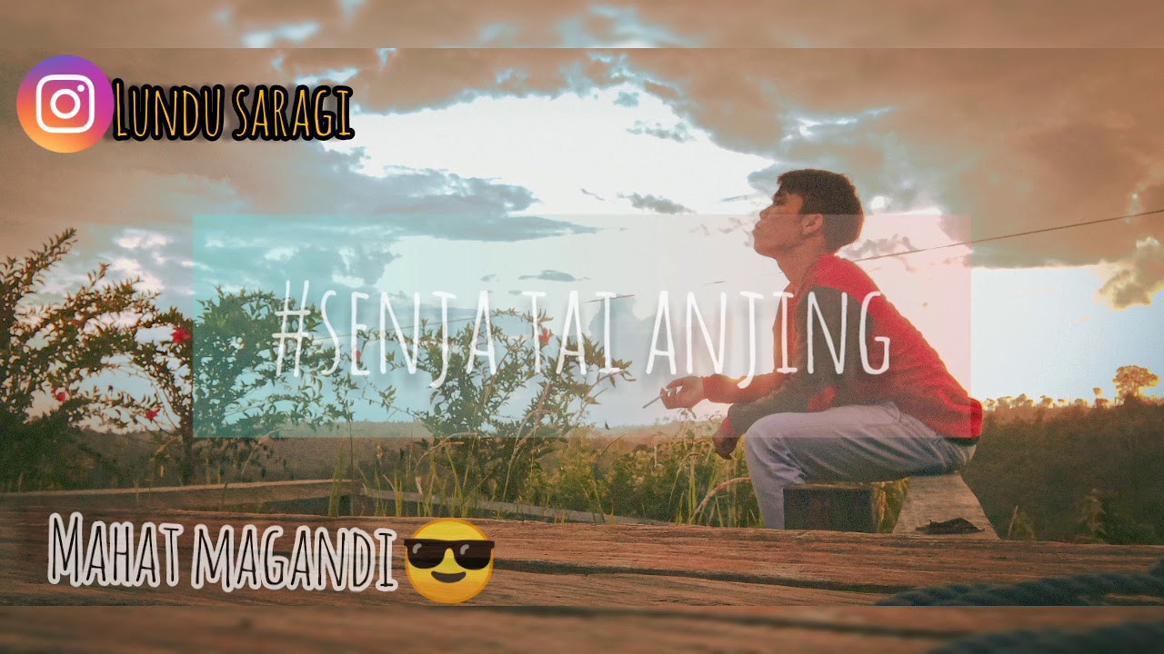 SENJA SENJA TAI ANJING-PROJECT HAMBALANG || EDITORIAL - YouTube
