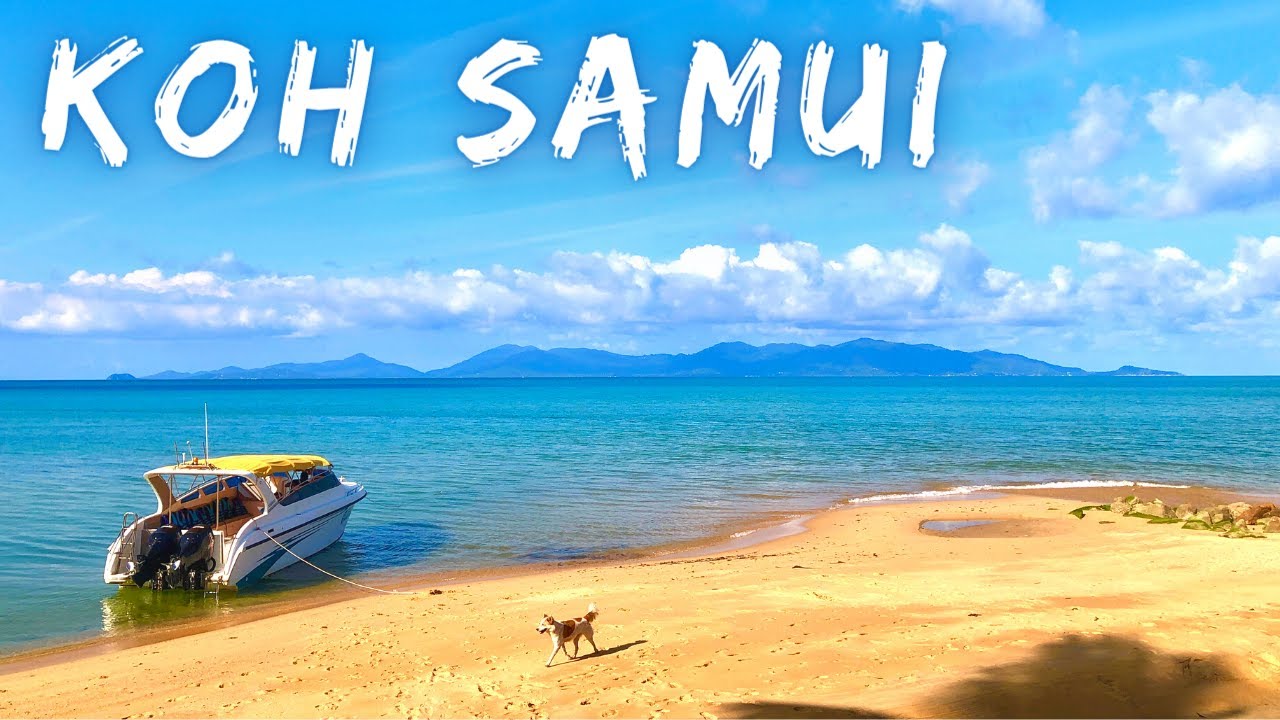 KOH SAMUI: We CAN'T BELIEVE This Is Immigration In Samui! - YouTube