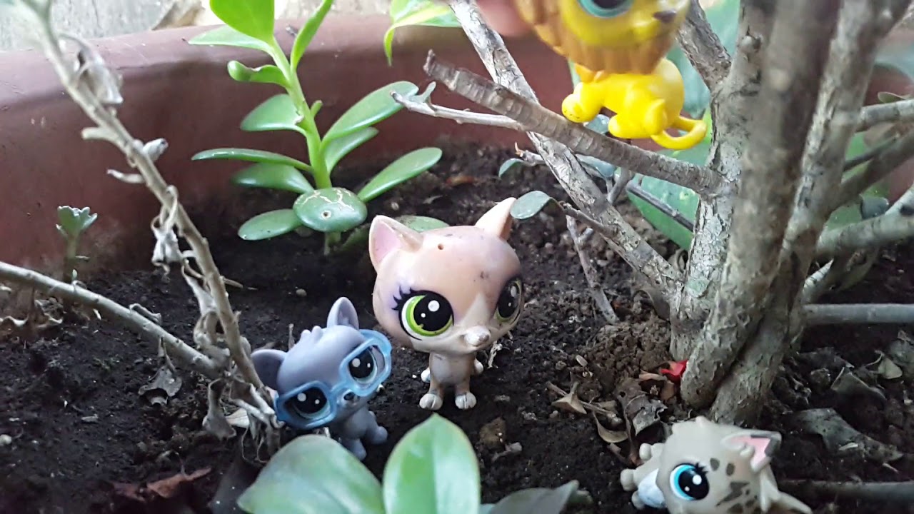Lps camping - YouTube