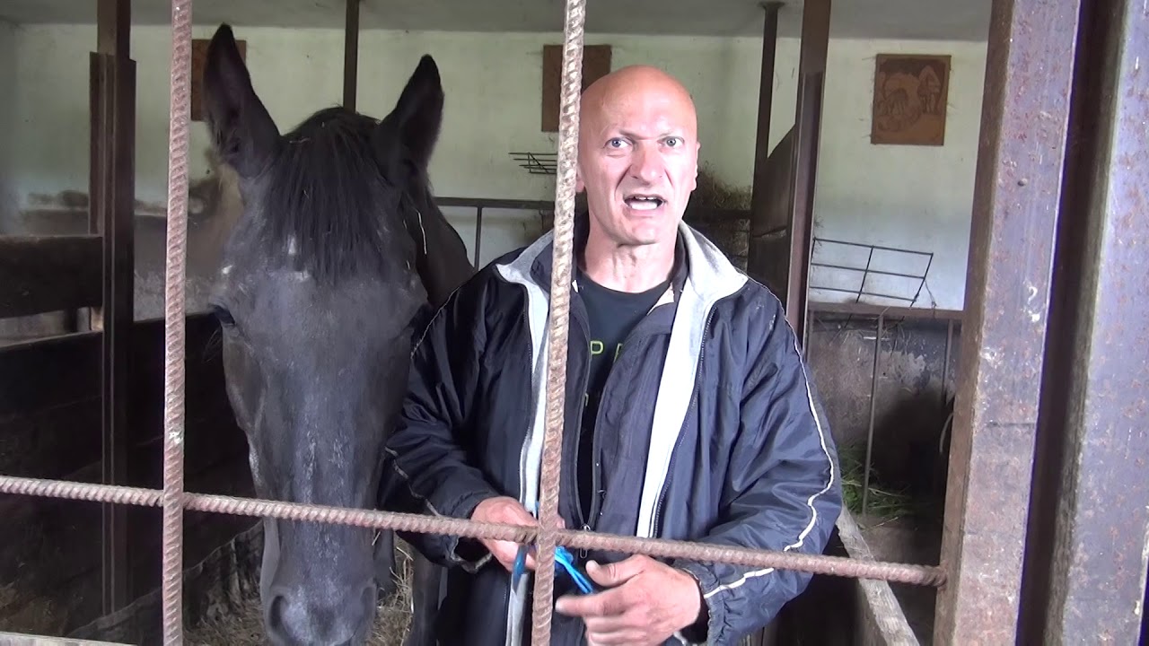 CHIROPRACTIC: Dr.Ante Pavlović - DONJI DRAGONOŽEC OBILAZAK SUSJEDA 3 ...