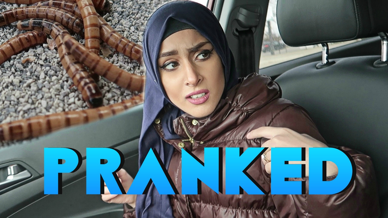 INSANE BUG PRANK - YouTube