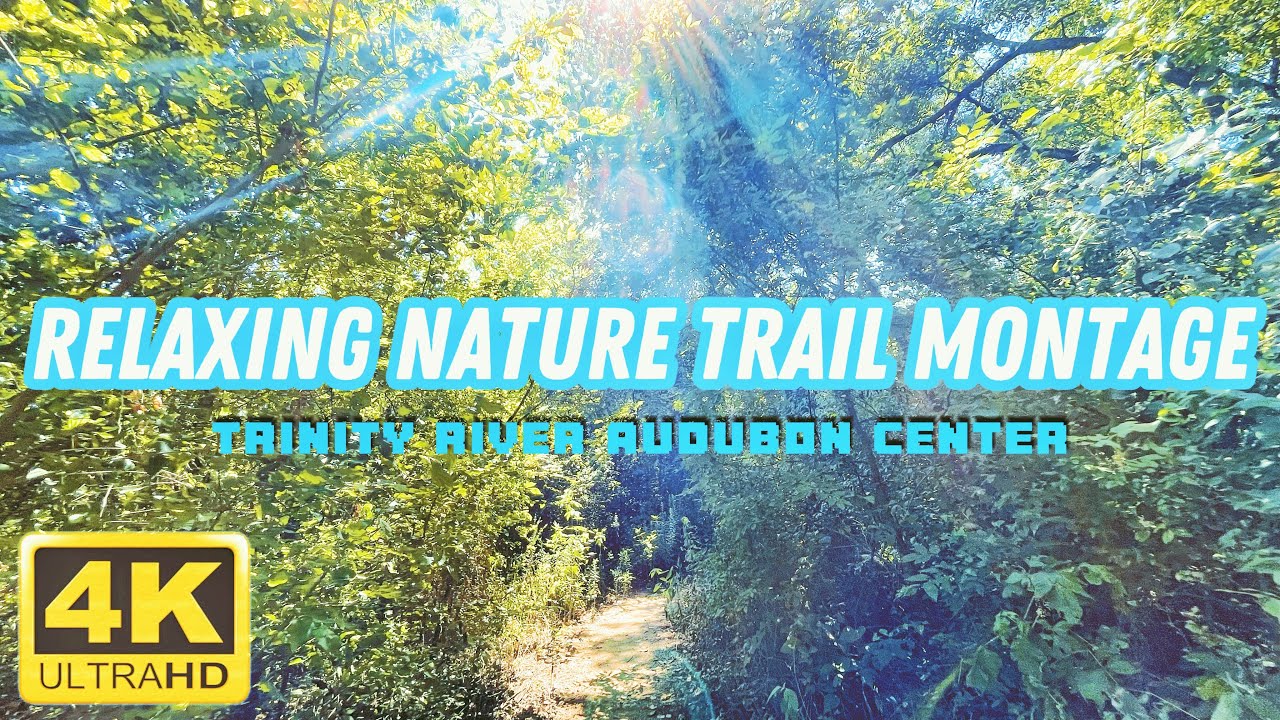 Relaxing Nature Trail Montage 4K - YouTube