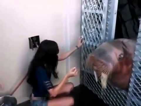 russian girl play with him